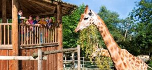 Bellewaerde Park Avis 2026 : Tarifs billets, Calendrier, Attractions