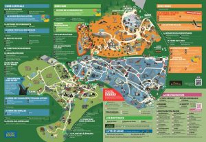 Zooparc de Beauval Avis : Tarifs, Horaires, Animaux, Spectacles