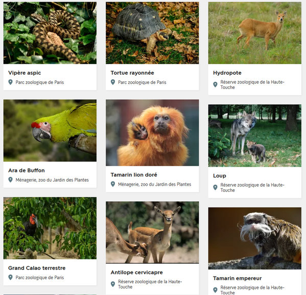 Zoo du Jardin des Plantes Avis : Tarifs, Horaires, Animaux